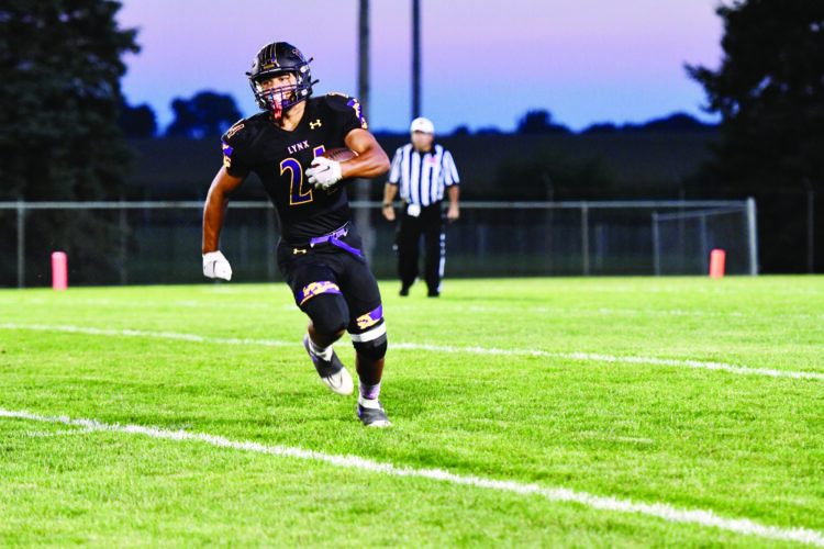 Lynx players pack all-district teams | News, Sports, Jobs - The Freeman ...